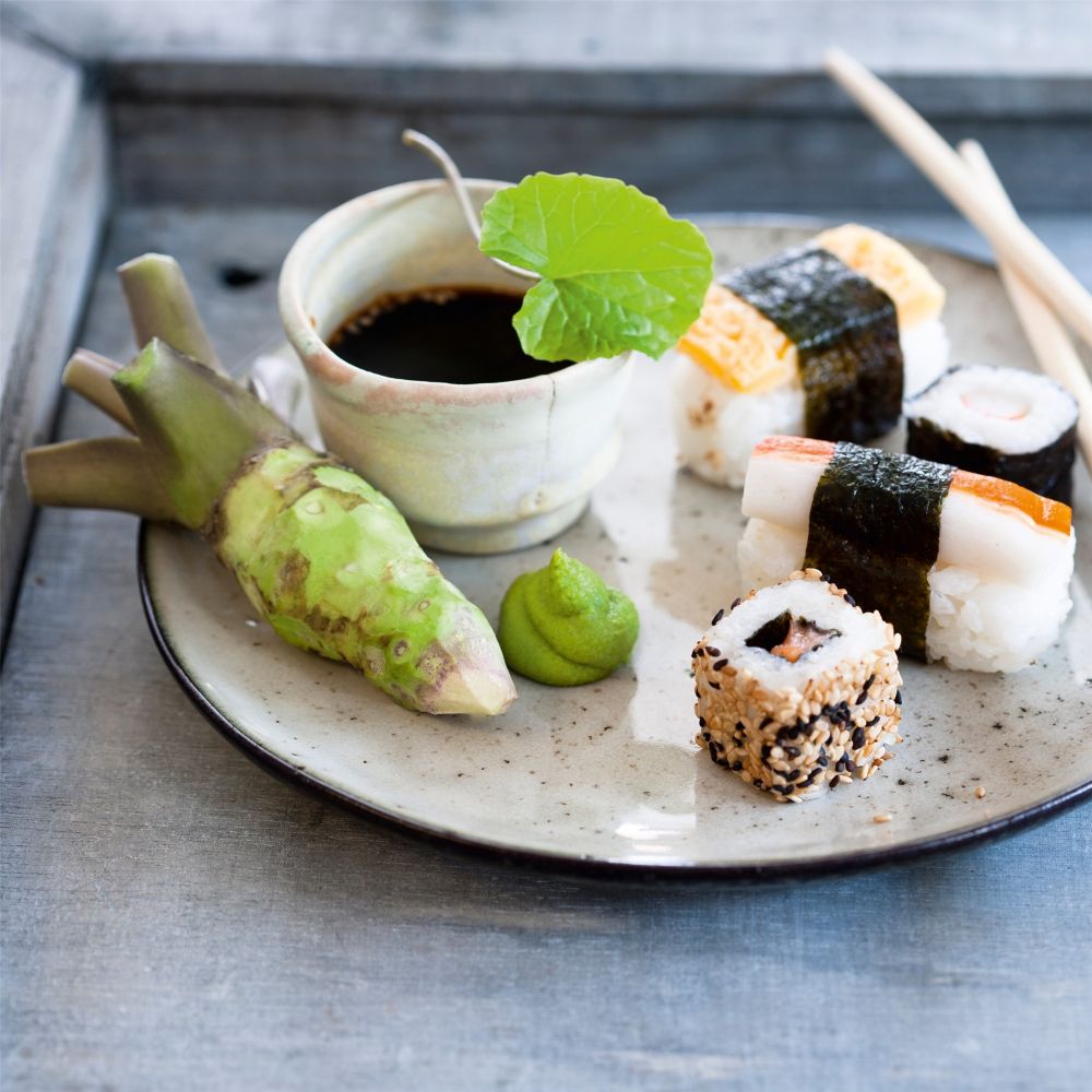 Echter Wasabi (Wasabia japonica) Mephisto Green | Lichtnelke ...